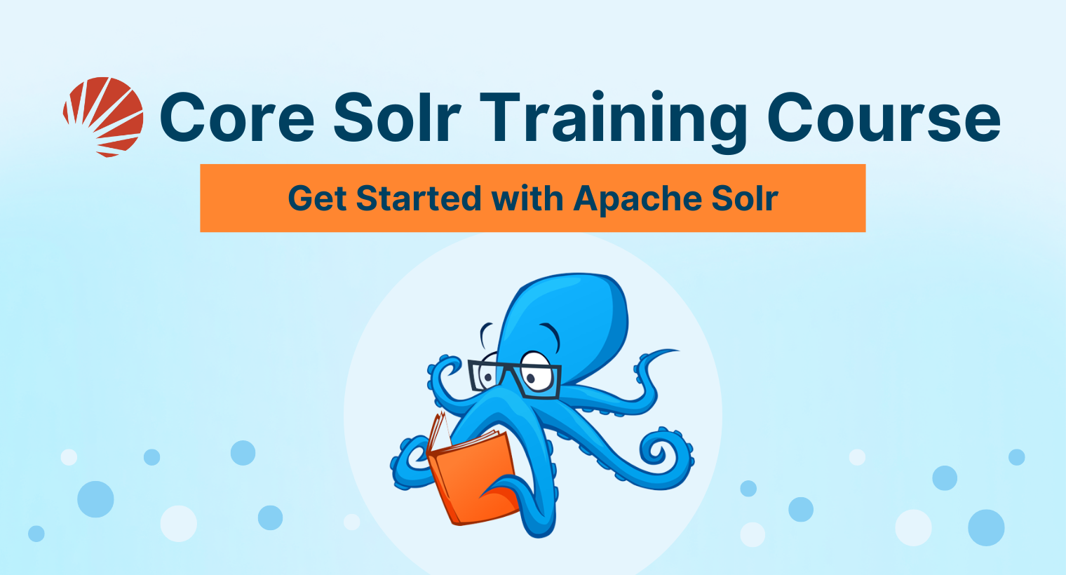 Core Solr Training Course - Sematext