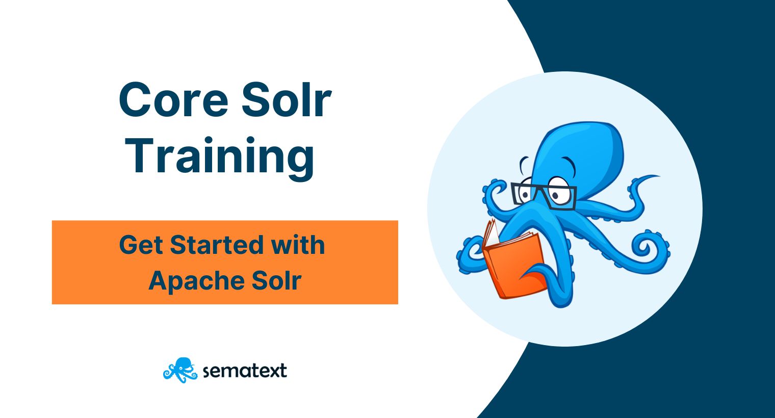 Core Solr Training Course - Sematext