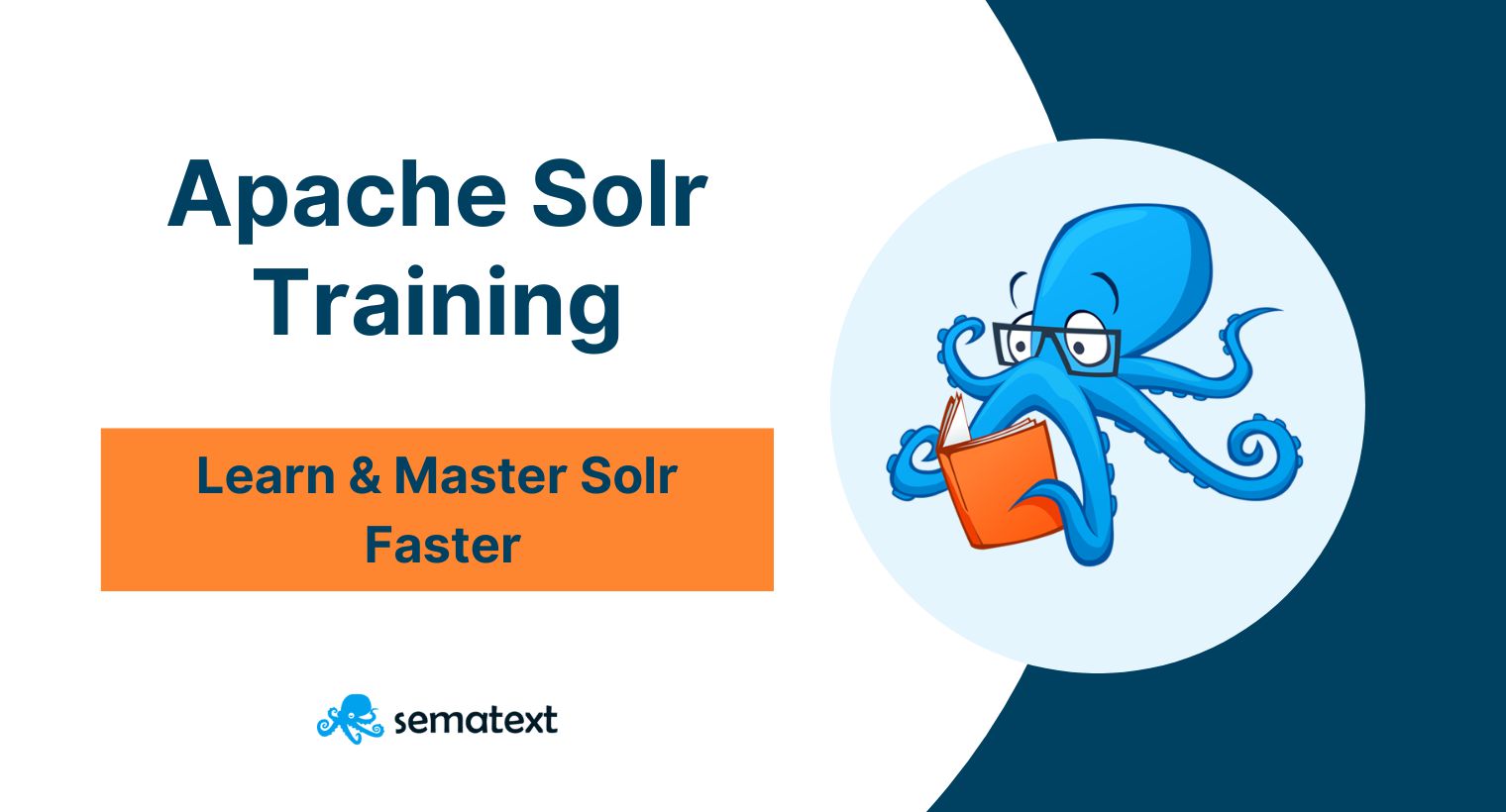 Apache Solr Training: Online Courses & Workshops - Sematext